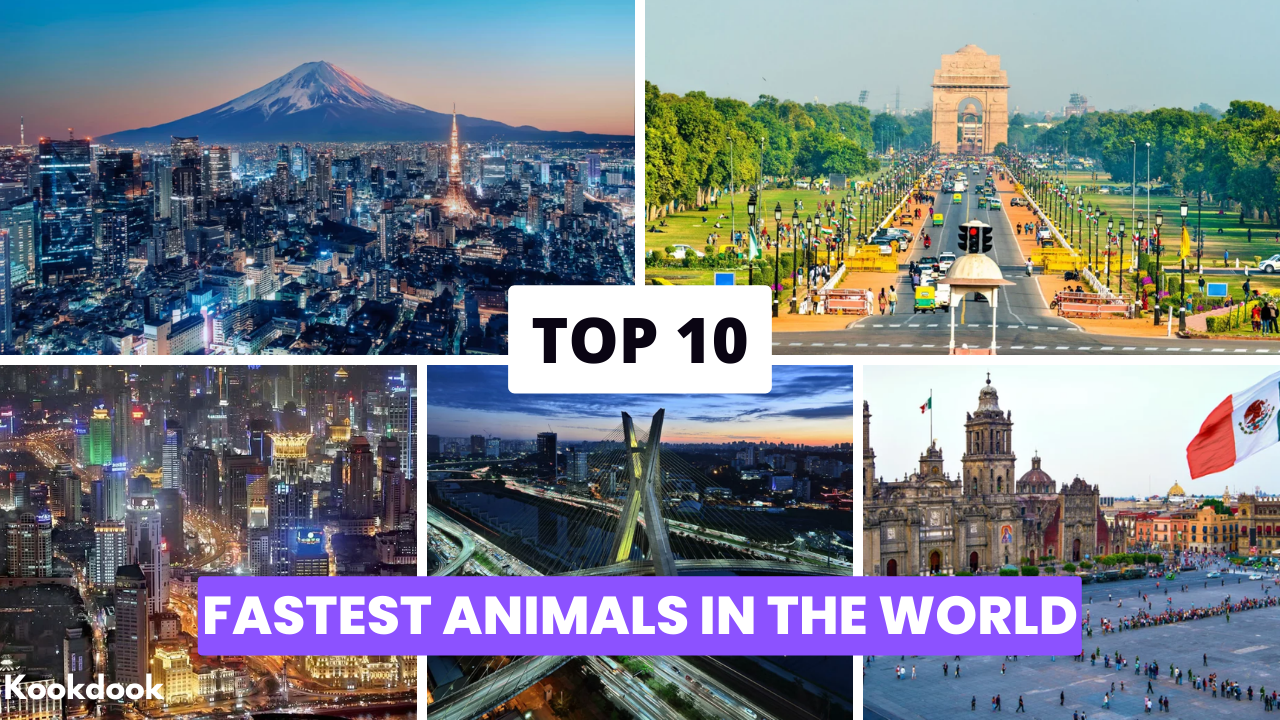 Top 10 Largest Cities in The World