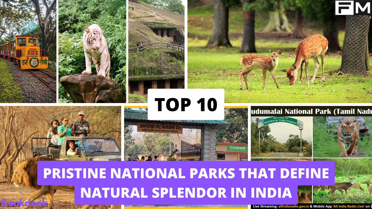 Top 10 National Parks in India That Define Natural Splendor